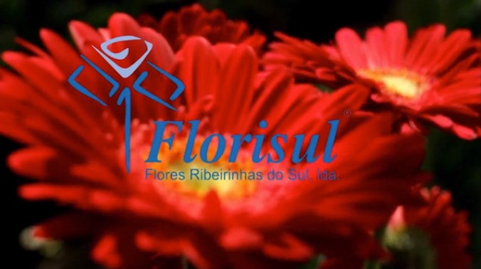 Apresentação da Florisul - Florisul