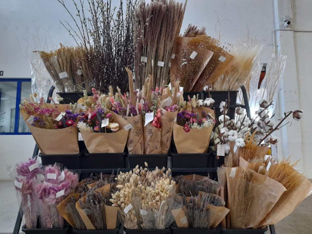 Flores secas e preservadas - Florisul