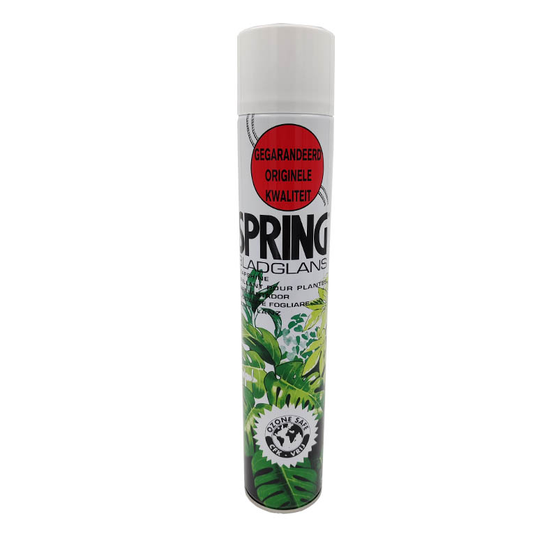 Spray abrilhantador Spring - 750ml - Florisul