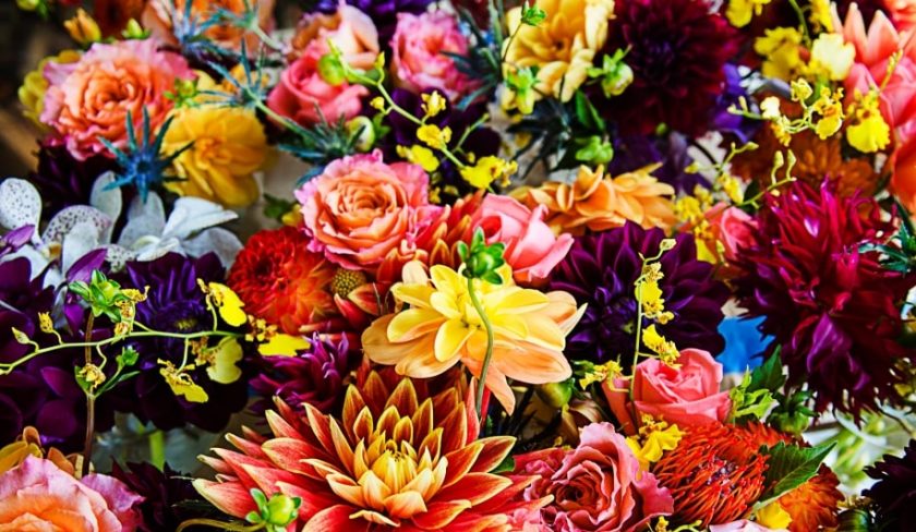 Guia - Significado das Flores 2023 - Florisul